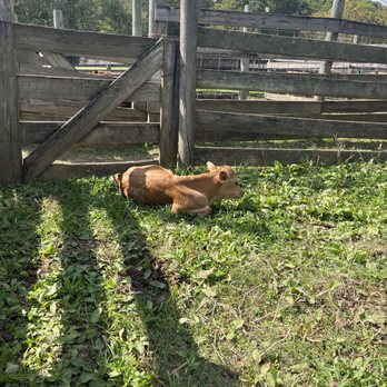 OLD BAKER FARM - Updated January 2025 - 40 Photos & 11 Reviews - 1041 ...