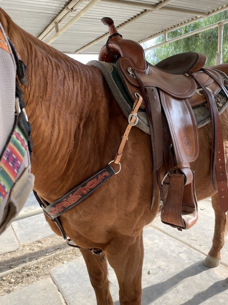 POND HILL STABLES - Updated July 2025 - RR 4, Castleton, Vermont ...