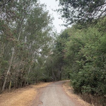 POGONIP - Updated January 2026 - 234 Photos & 42 Reviews - 333 Golf ...