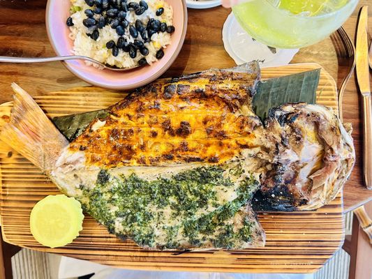 KOKO - 104 Photos & 65 Reviews - 2856 Tigertail Ave, Miami, Florida ...