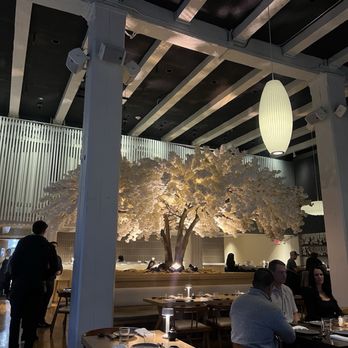 JANKEN - Updated January 2026 - 1522 Photos & 450 Reviews - 250 NW 13th ...