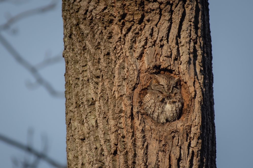 GARRET MOUNTAIN RESERVATION - Updated October 2025 - 166 Photos & 46 ...