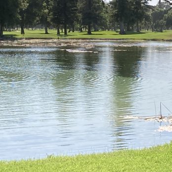 MANTECA PARK GOLF COURSE - Updated April 2025 - 93 Photos & 57 Reviews ...