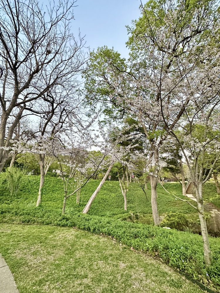 PRATHER PARK - Updated October 2025 - 4700 Drexel Ave, Highland Park ...