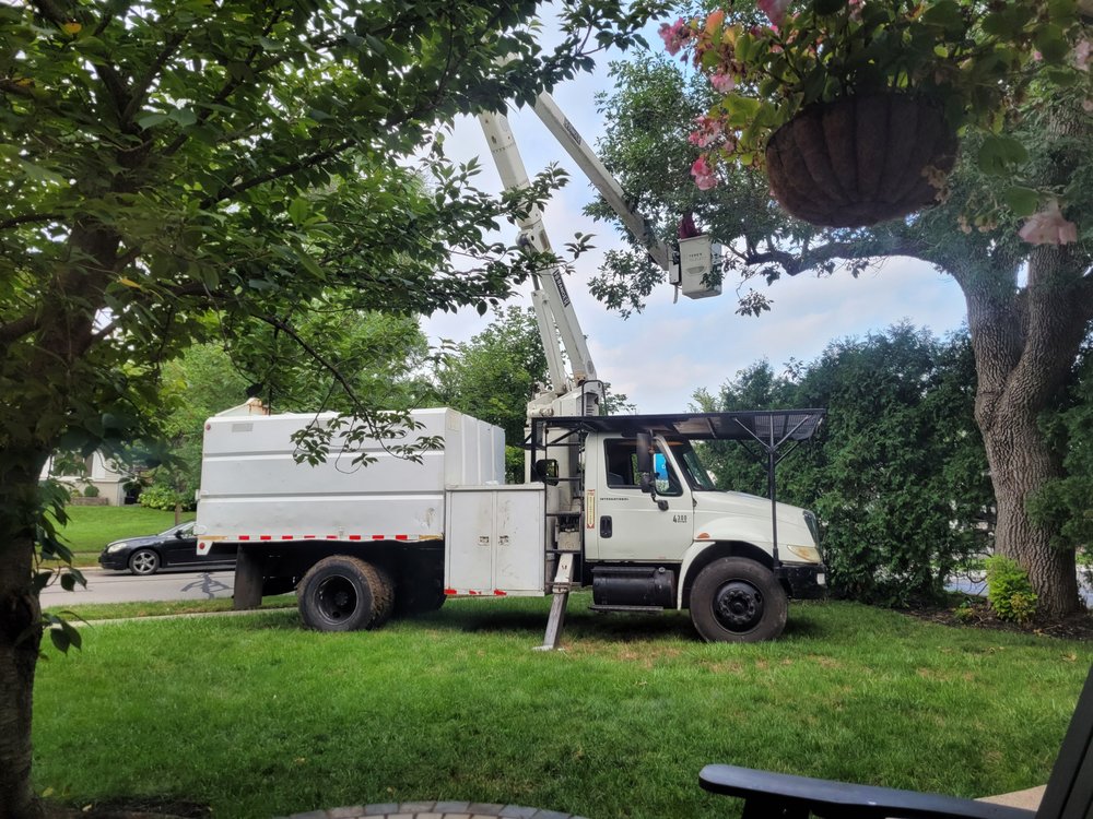 SCOTTSCAPE TREE SERVICE - Updated October 2025 - 5404 Columbus Pike ...