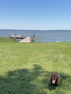 LOVE POINT VINEYARDS AND WINERY - 12 Photos - 305 River Shore Ln ...