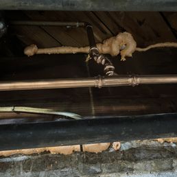 Len The Plumber Reviews | Read Customer Service Reviews of ...