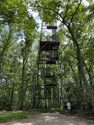 COOK FOREST STATE PARK - Updated September 2025 - 57 Photos & 14 ...