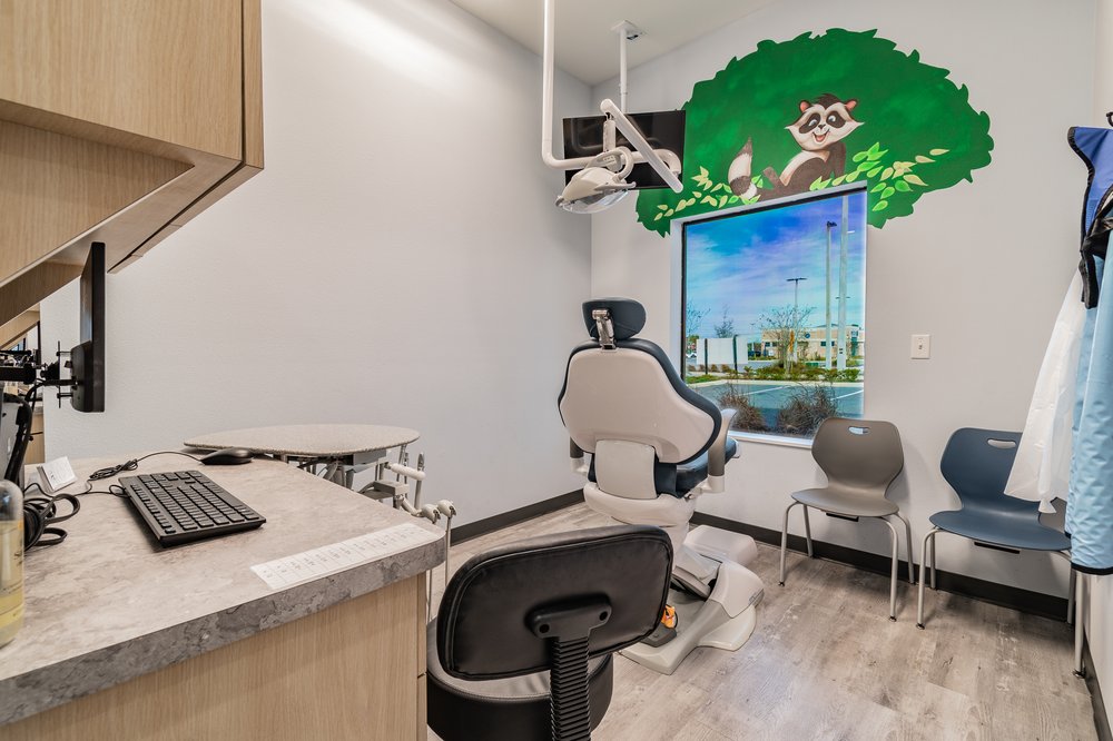 SPRING HILL PEDIATRIC DENTISTRY - Updated December 2025 - 25 Photos ...