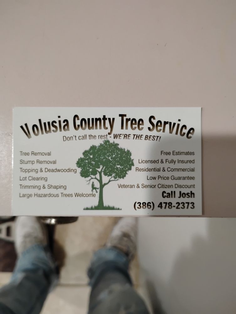 VOLUSIA COUNTY TREE SERVICE - Updated June 2025 - Edgewater, Florida ...