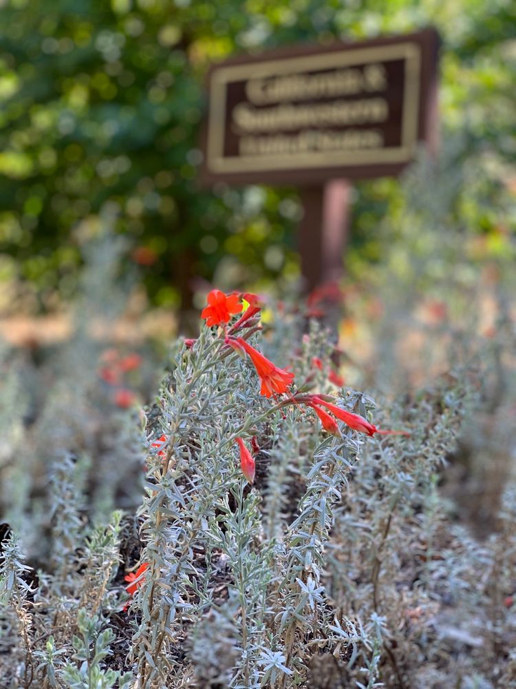 MARKHAM NATURE PARK & ARBORETUM - 252 Photos & 28 Reviews - 1202 La ...