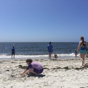 SEAGULL BEACH - 42 Photos & 34 Reviews - Seagull Rd, West Yarmouth ...