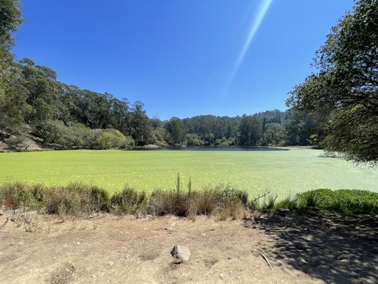 LAKE ANZA - 223 Photos & 93 Reviews - Lake Anza Rd, Berkeley, CA - Yelp
