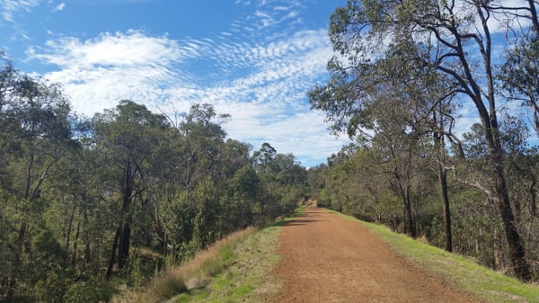 THE HERITAGE TRAIL - Updated October 2024 - 15 Photos - 21-23 Swan Rd ...