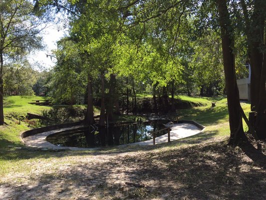 SUWANNEE RIVER RENDEZVOUS - Updated September 2025 - 64 Photos & 24 ...