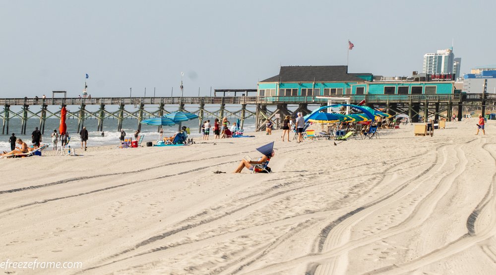 SEASEE - Updated February 2025 - Request Consultation - Myrtle Beach ...