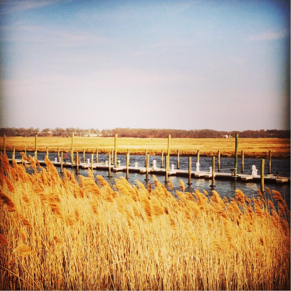 MORGAN MARINA - Updated January 2026 - 18 Photos - 8000 Gondek Dr ...