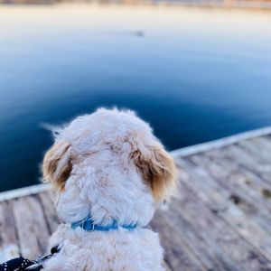 TEN PACHI MODERN SALON - CLOSED - 64 Photos & 459 Reviews - 5611 ...