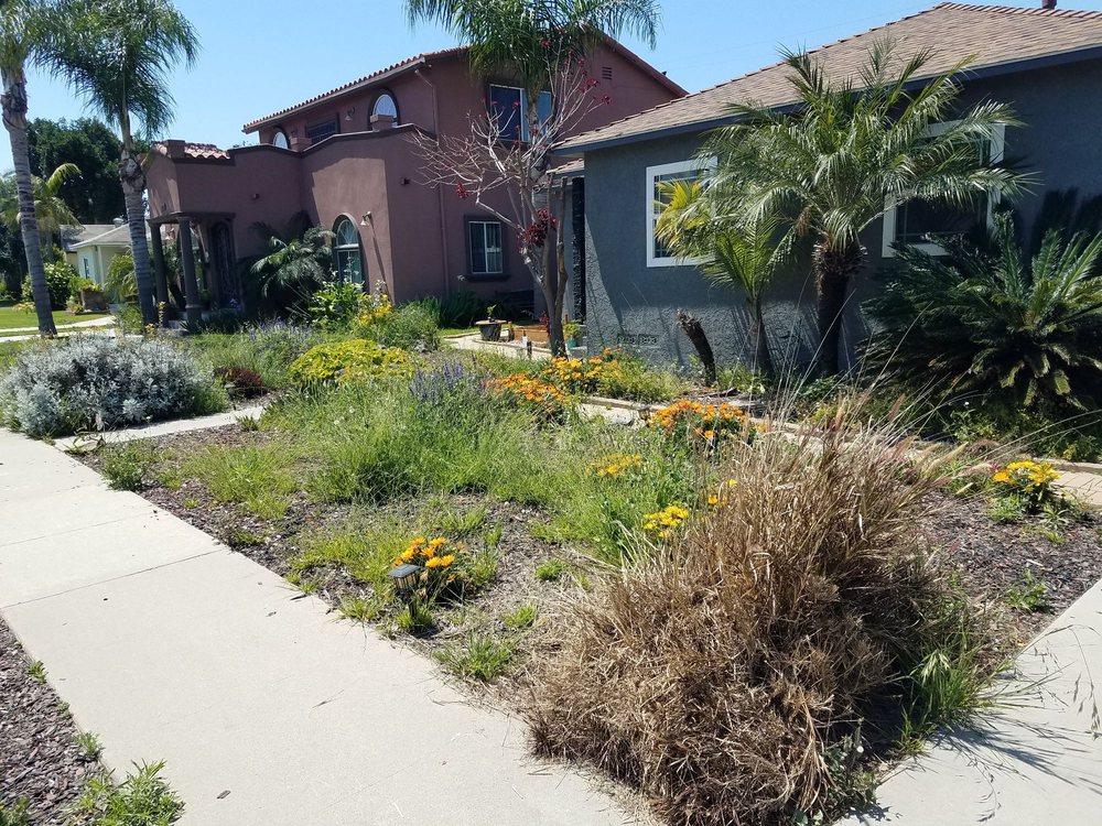 TRUE GARDENS - 14 Photos - Landscaping - Los Angeles, CA - Phone Number ...