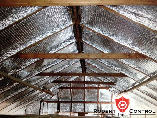 RODENT CONTROL - Updated July 2025 - 222 Photos & 363 Reviews - 5455 ...