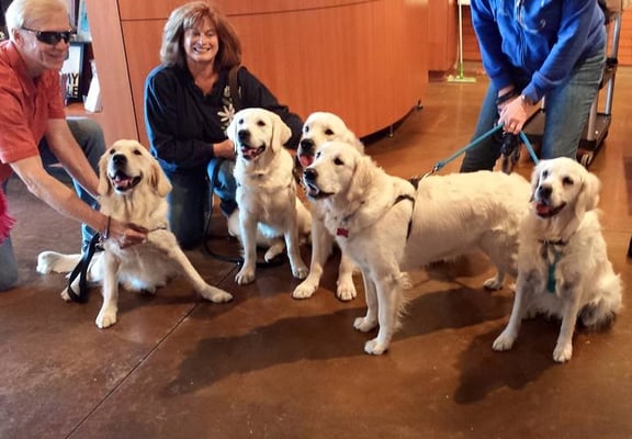 LAND OF PAWS - Updated November 2025 - 19 Photos & 36 Reviews - 6772 W ...