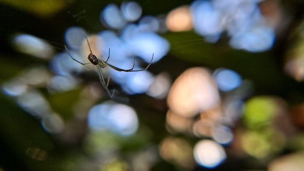 SIMPSON PARK - Updated September 2025 - 192 Photos & 19 Reviews - 5 SW ...