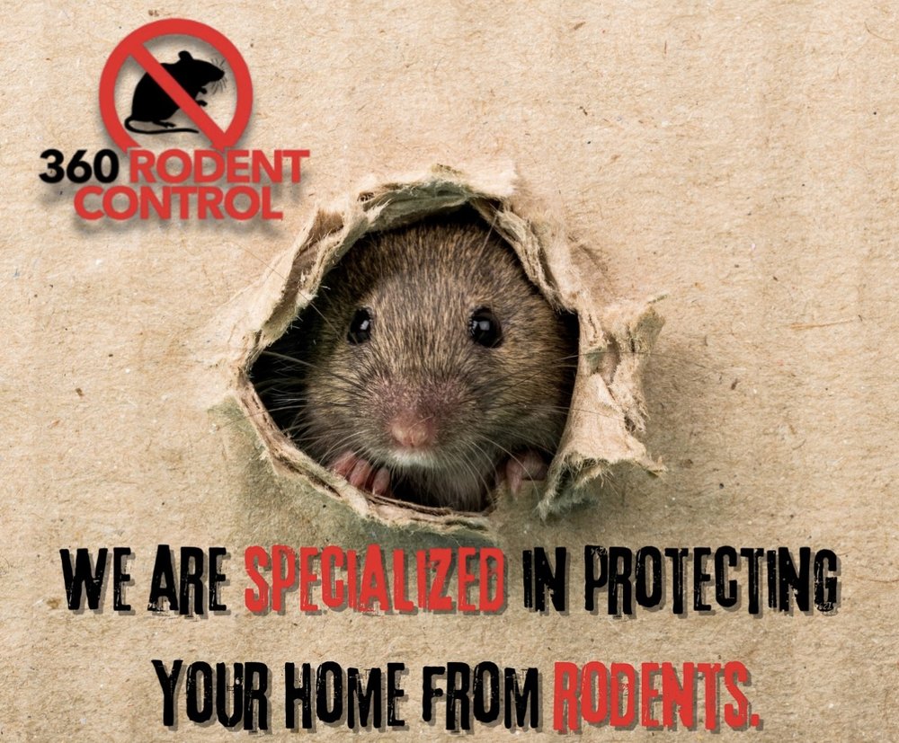 360 RODENT CONTROL - Updated September 2025 - 53 Photos - Escondido ...