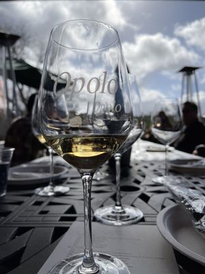 OPOLO VINEYARDS - Updated July 2024 - 680 Photos & 599 Reviews - 7110 ...