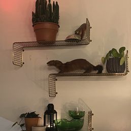 MINK - Updated May 2025 - 399 Photos & 108 Reviews - 1701 Trumbull ...