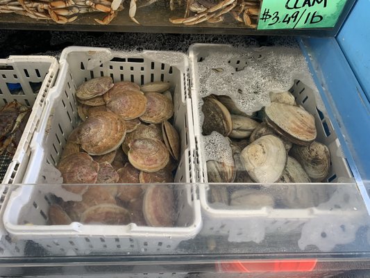 USA DAILY LIVE SEAFOOD MARKET - 111 Photos & 54 Reviews - Seafood ...