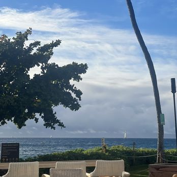 ULU KITCHEN - Updated August 2024 - 118 Photos & 74 Reviews - 2365 ...