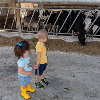 CALDER DAIRY & FARM - Updated August 2025 - 127 Photos & 42 Reviews ...