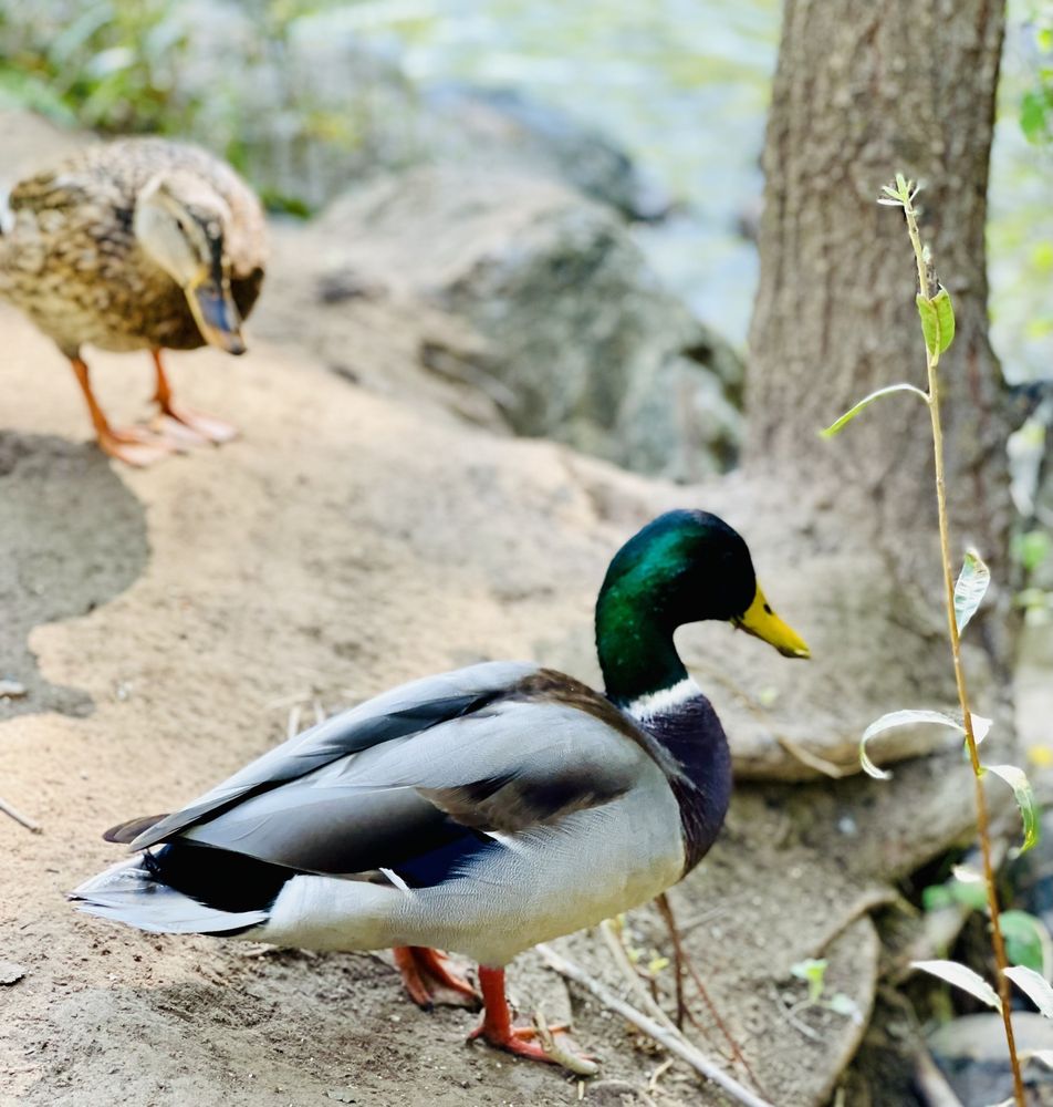 LAYTON COMMONS PARK - Updated January 2026 - 28 Photos & 14 Reviews ...