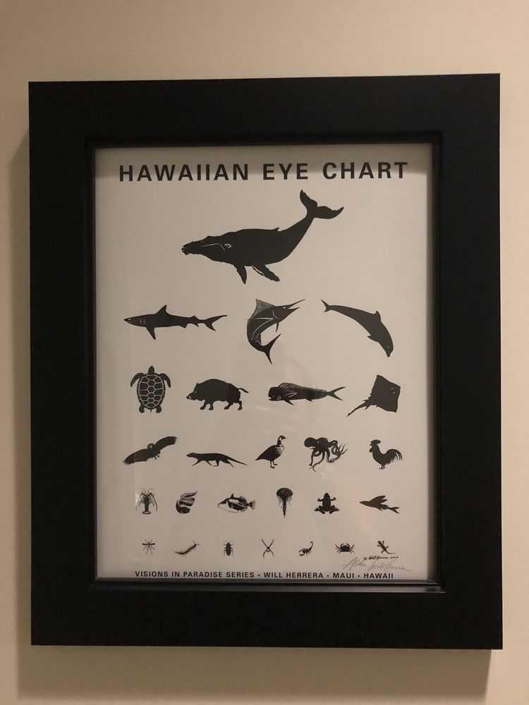 MAUI OPTIX - 15 Photos & 27 Reviews - 24 Kiopaa St, Makawao, Hawaii ...