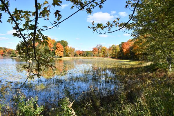 BRASS POINT FARM - Updated October 2025 - 3534 Burnt Hills Rd, Seeley's ...