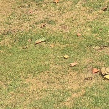 FOX HOPYARD GOLF CLUB - Updated October 2025 - 16 Photos & 19 Reviews ...