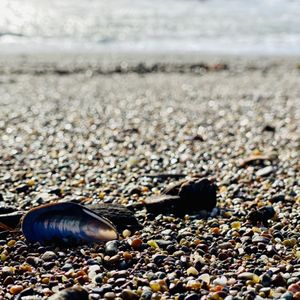 MOONSTONE BEACH - 843 Photos & 218 Reviews - Beaches - Moonstone Beach ...