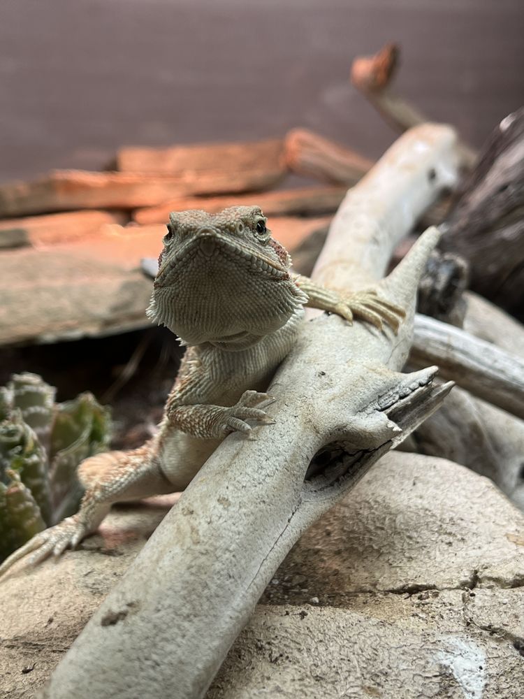 THE BIO DUDE - Updated January 2026 - 75 Photos & 45 Reviews - 15116 ...