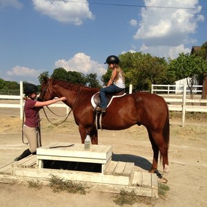 DALLAS EQUESTRIAN CENTER - Updated June 2025 - 13 Photos - 8787 Park Ln ...