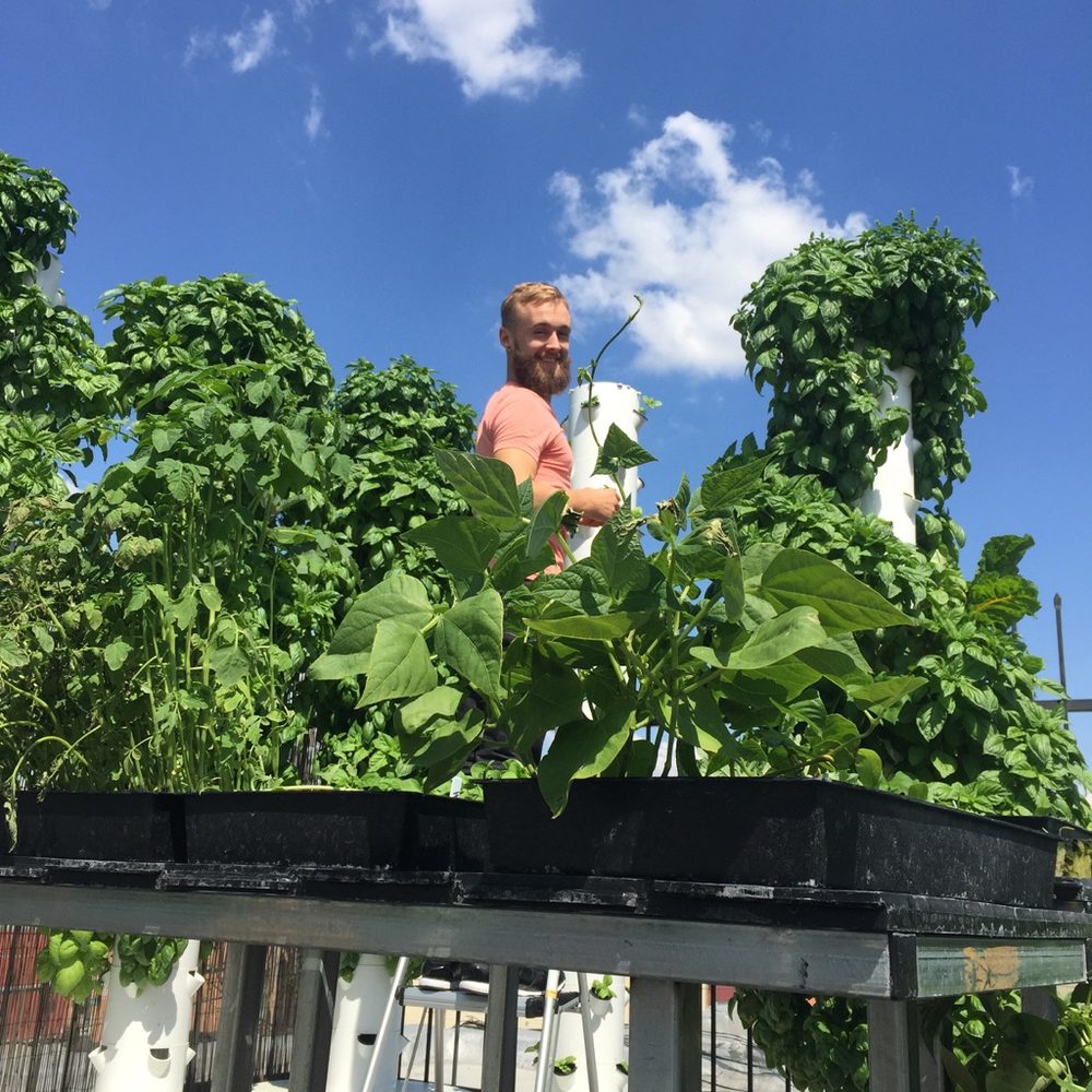 DALLAS URBAN FARMS - Updated May 2024 - Dallas, Texas - Fruits ...