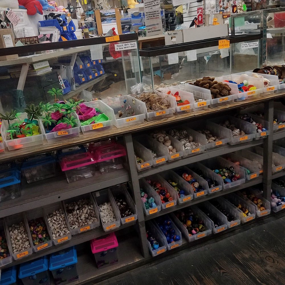 SEA SHELL SHOP - 61 Photos & 21 Reviews - 19366 Coastal Hwy Rt 1 ...