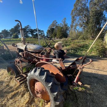 CRYSTAL BAY FARM - Updated October 2025 - 162 Photos & 76 Reviews - 40 ...