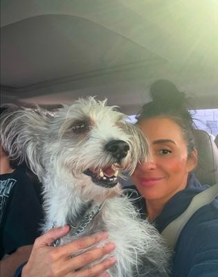 A PATH 4 PAWS - Updated January 2026 - 13 Reviews - 232 N Jones Blvd, Las Vegas, Nevada - Pet ...