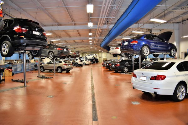 THE BMW STORE - Updated November 2025 - 21 Photos & 48 Reviews - 6131 ...