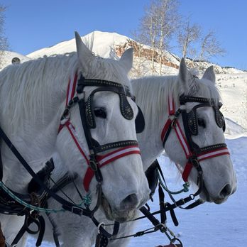 MILL IRON RANCH - Updated April 2025 - 62 Photos & 61 Reviews - 3495 E ...