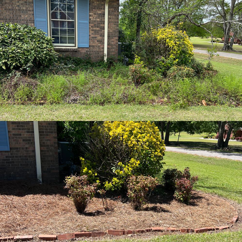 CLEANSCAPES - Mobile, Alabama - Lawn Services - Phone Number - Yelp