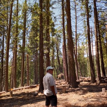 CHILKOOT CAMPGROUND - Updated October 2025 - 15 Photos - 57003 Rd 225 ...