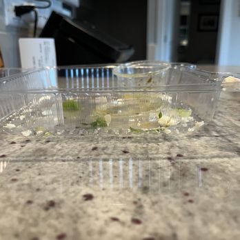 SPARTA’S PIZZA & PASTA HOUSE - Updated July 2024 - 55 Photos & 25 ...