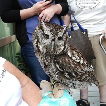 PEACE RIVER WILDLIFE CENTER - Updated December 2025 - 85 Photos & 41 ...