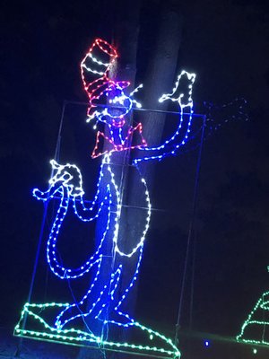 BRIGHT NIGHTS AT FOREST PARK - 106 Photos & 47 Reviews - 300 Sumner Ave ...